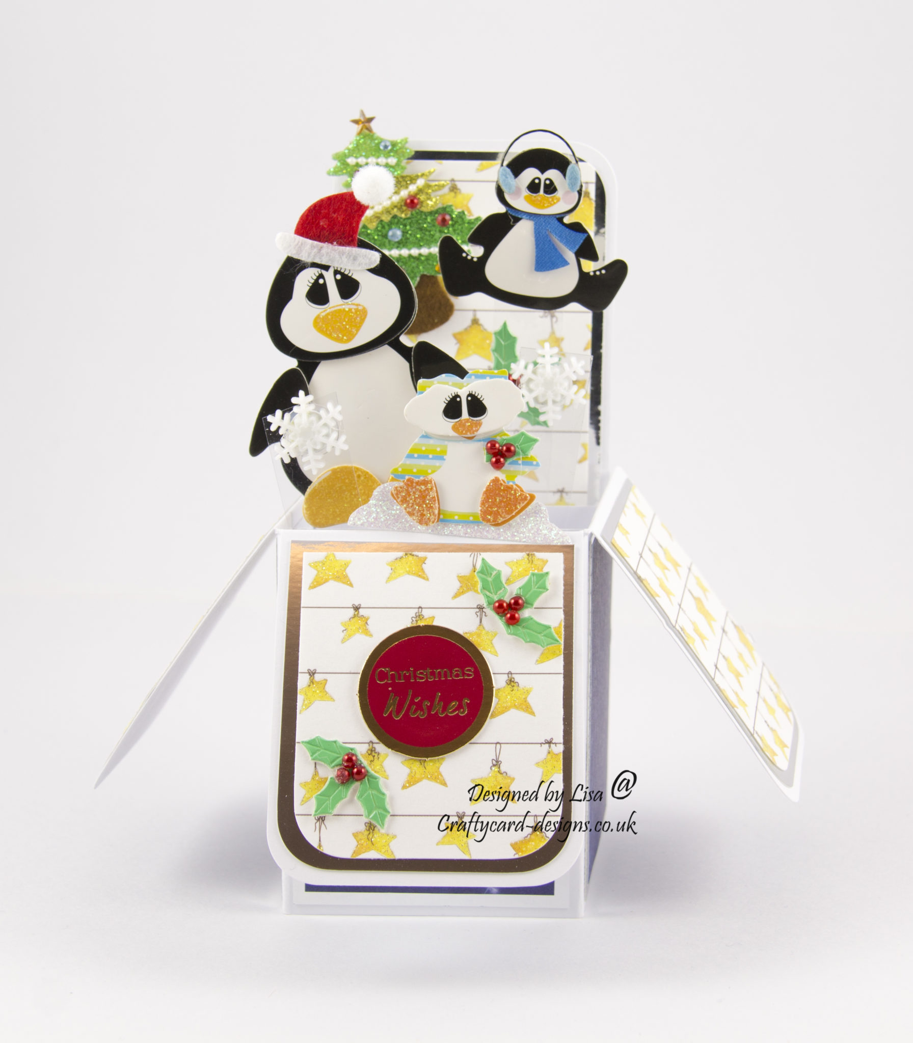 Christmas Pop Up Boxes 2017 - Crafty Card Designs